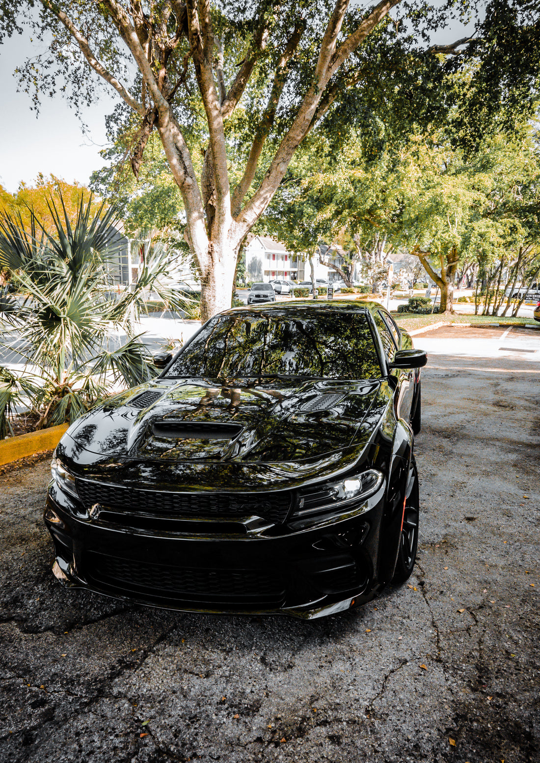 GALLERY – Hi-Line Styling