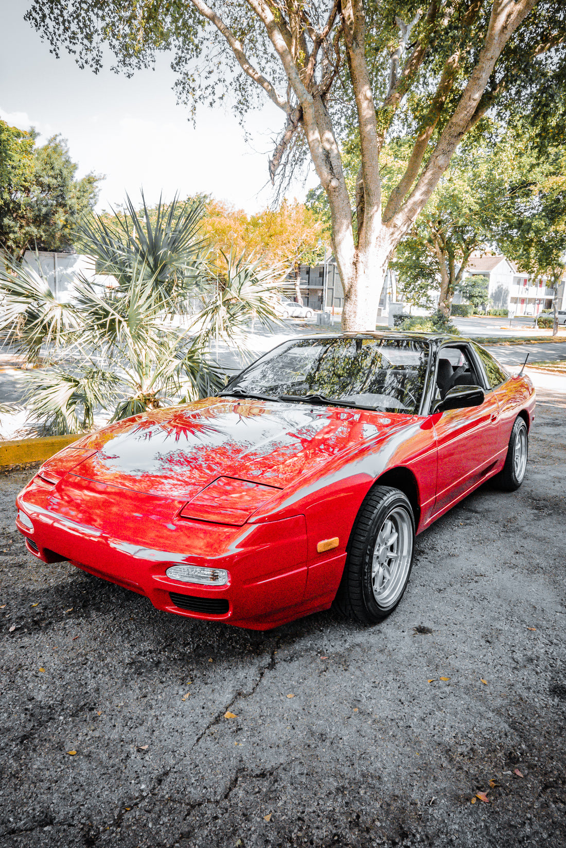 GALLERY – Hi-Line Styling